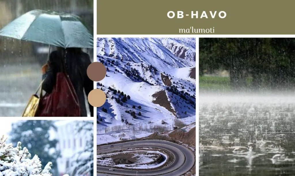 “O‘zgidromet” 23-24 dekabr kuni qanday ob-havo bo‘lishini maʼlum qildi